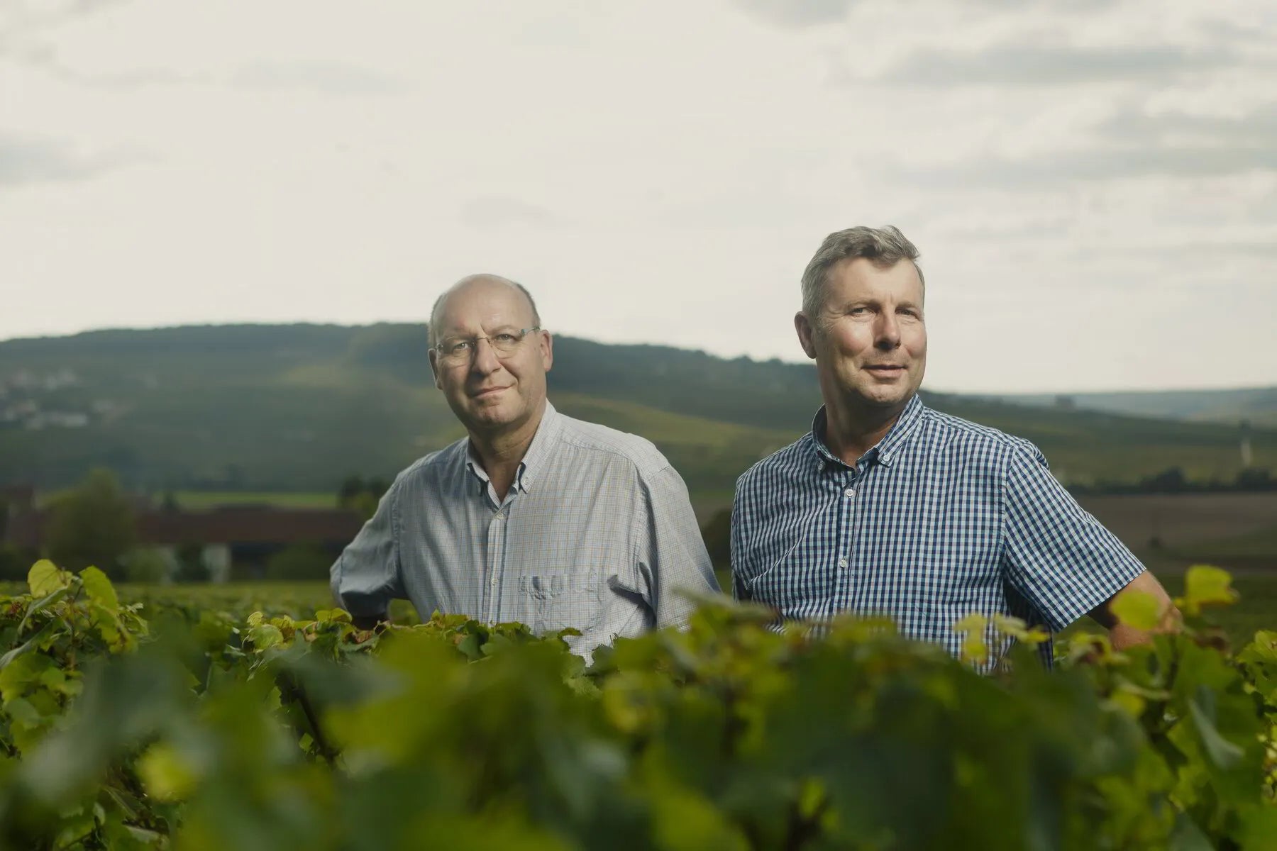 Champagne's Old Vines with Pierre Gimonnet et Fils – VINE & BUBBLE